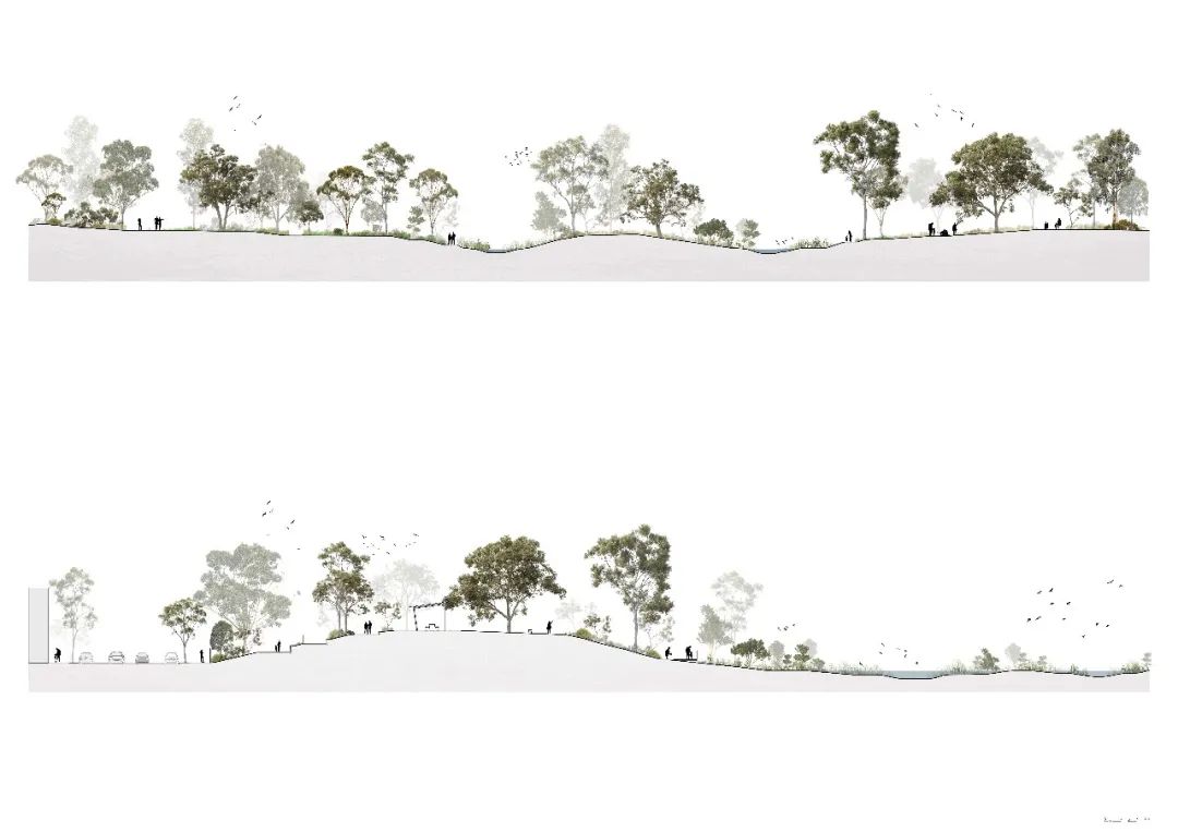 Ecological Transformation of Urban Golf Courses: Elsternwick Park ...