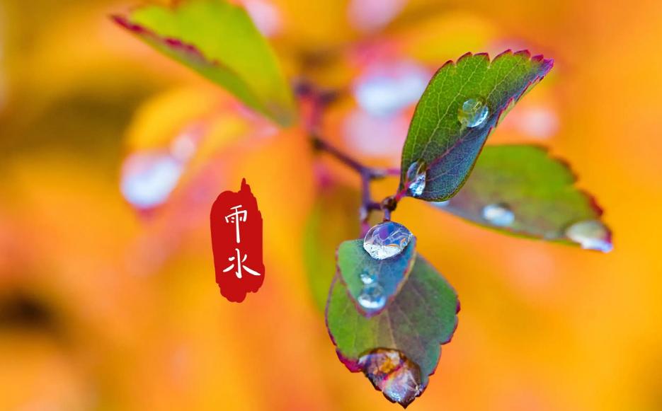 The Twenty-Four Solar Terms in "Hua Tang Chun" - iMedia