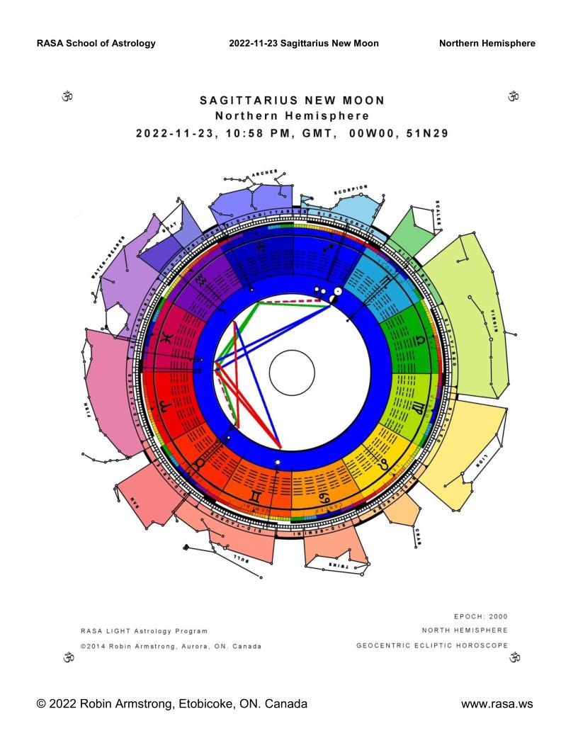 RASA Sagittarius New Moon Revelation and 12 Constellation Suggestions ...