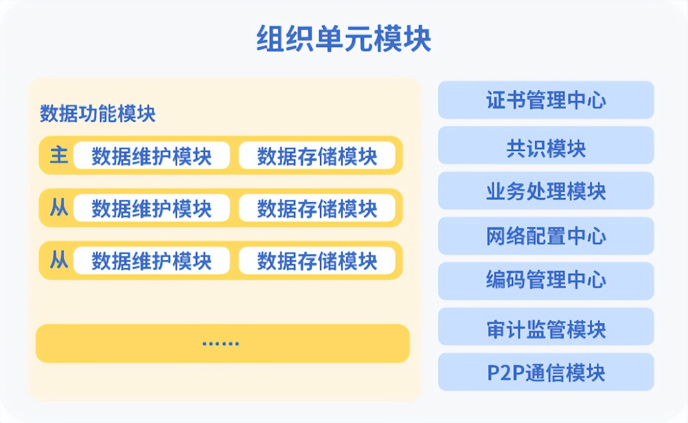 What is the "organizational unit" in the cone blockchain? - iNEWS