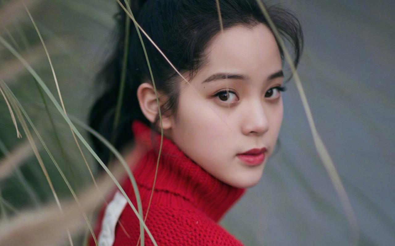 Entertainment Comments: Xiao Zhan, Zhao Liying, Yang Ying, Ouyang Nana ...