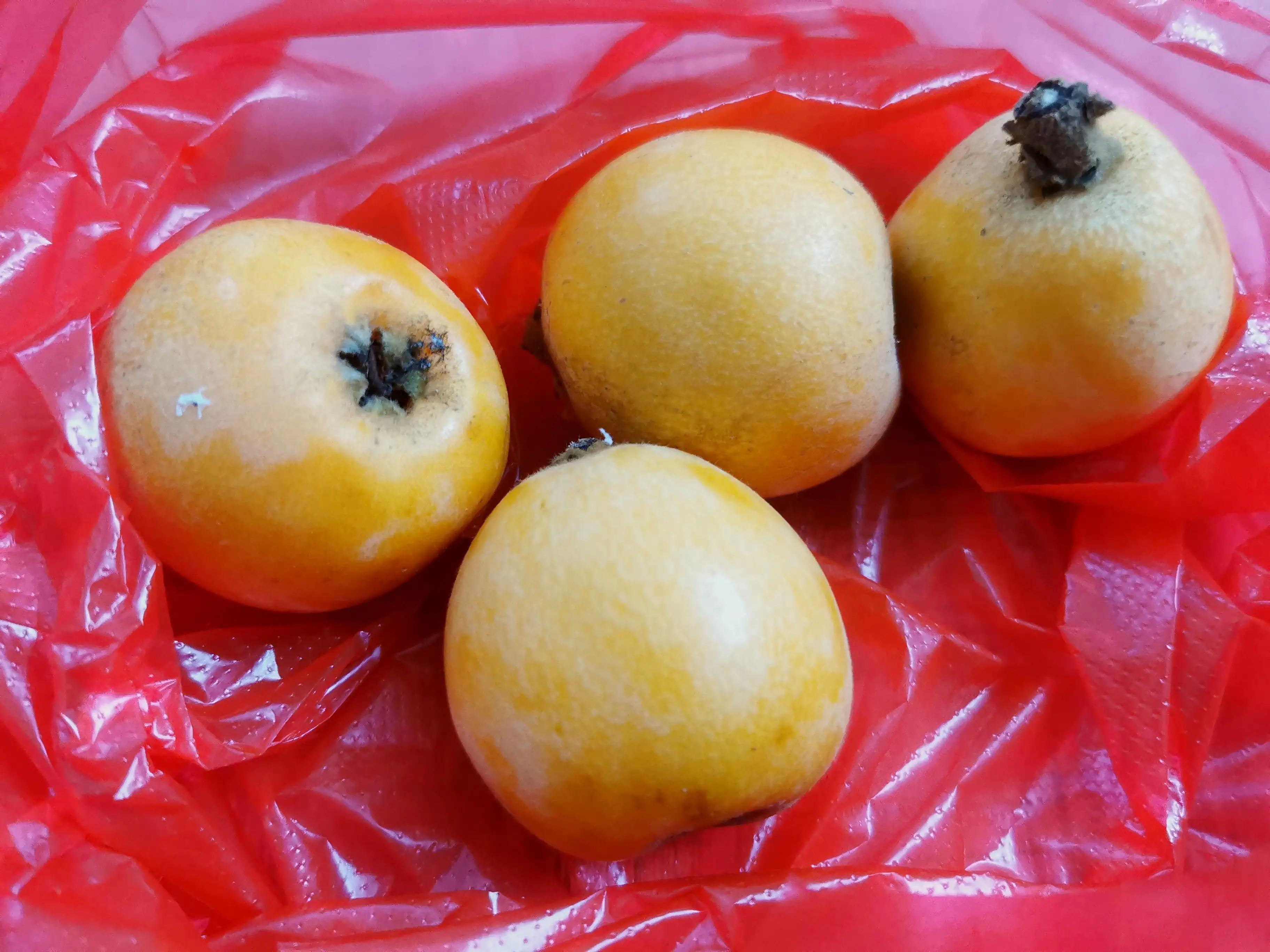 Loquat is in season, eat it! - iMedia
