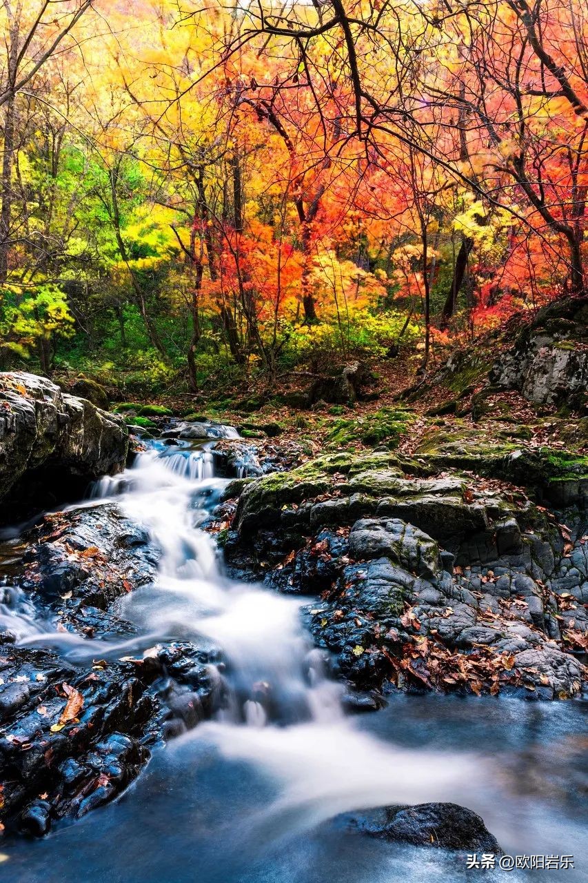This is the most beautiful place in October!The first one is crazy ...