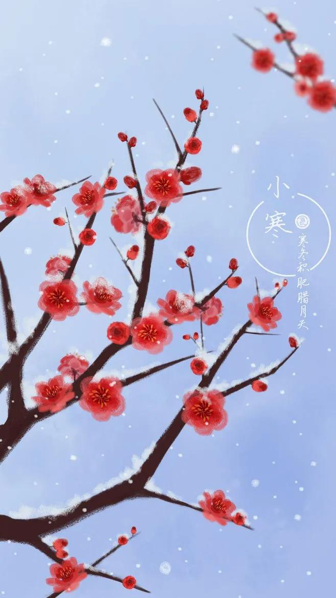 Twenty-four solar terms·Xiaohan: The wild goose returns to the north ...