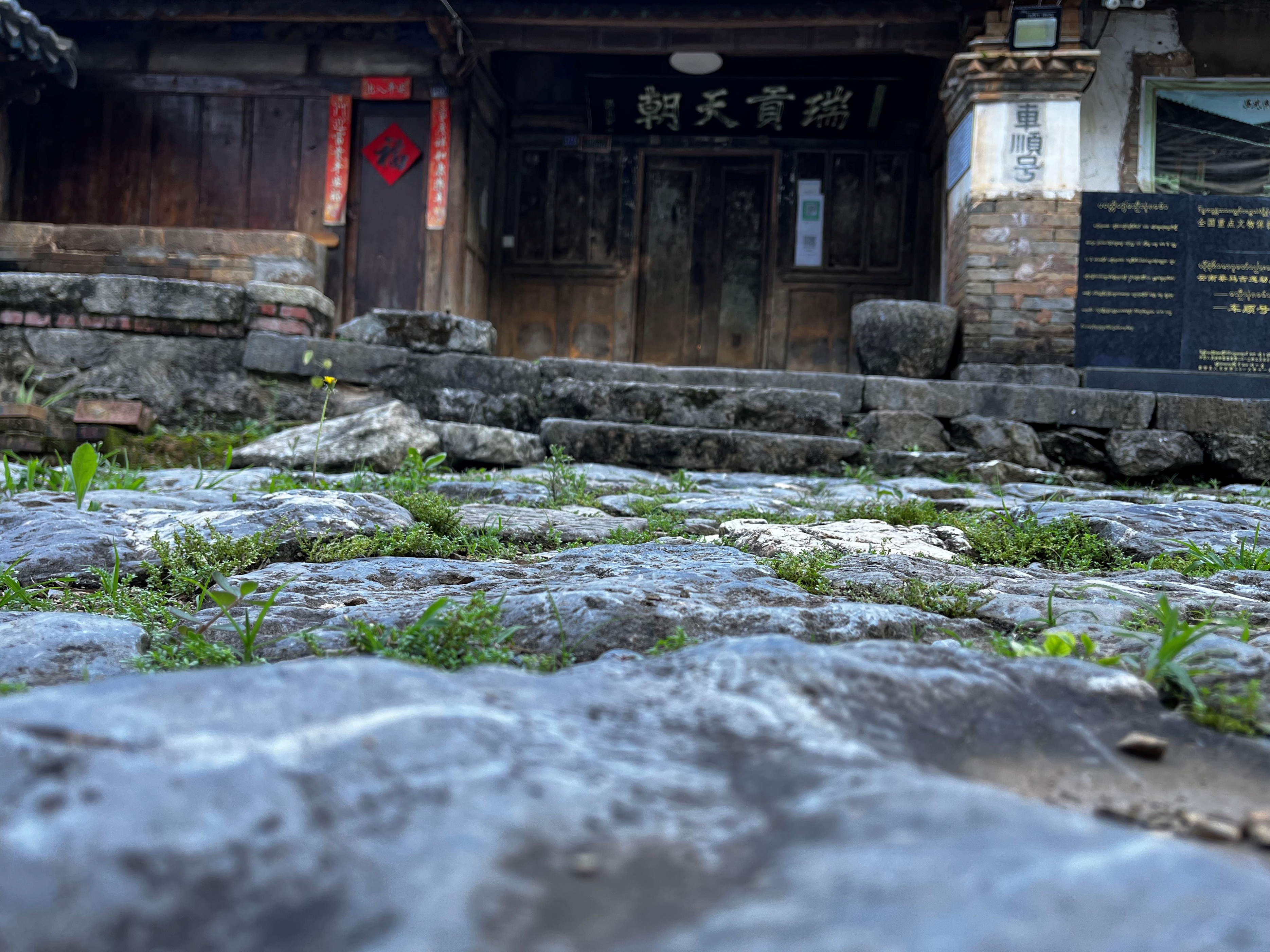 Yiwu Tea Area - iNEWS