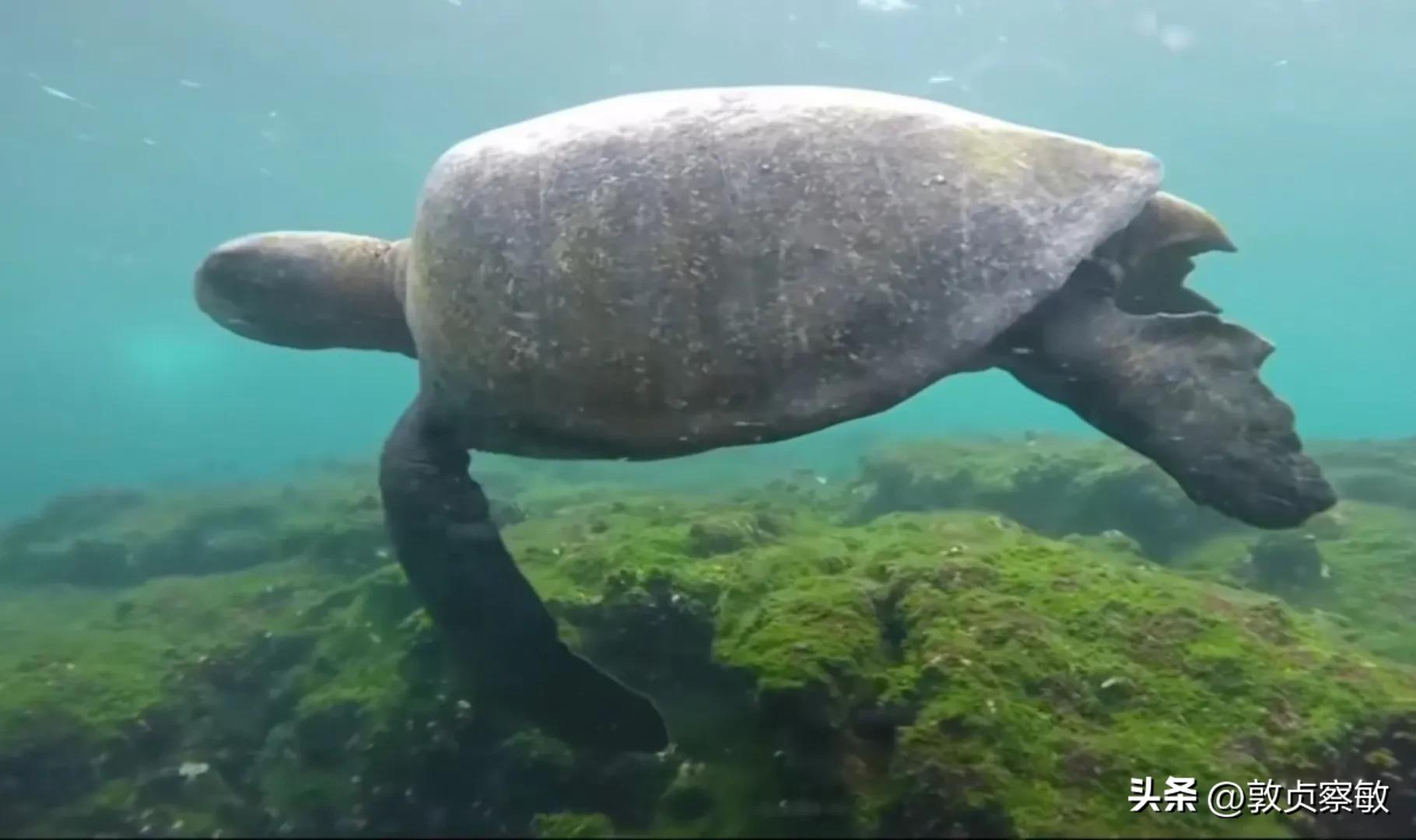 Colon Islands - the world's largest natural museum - iNEWS