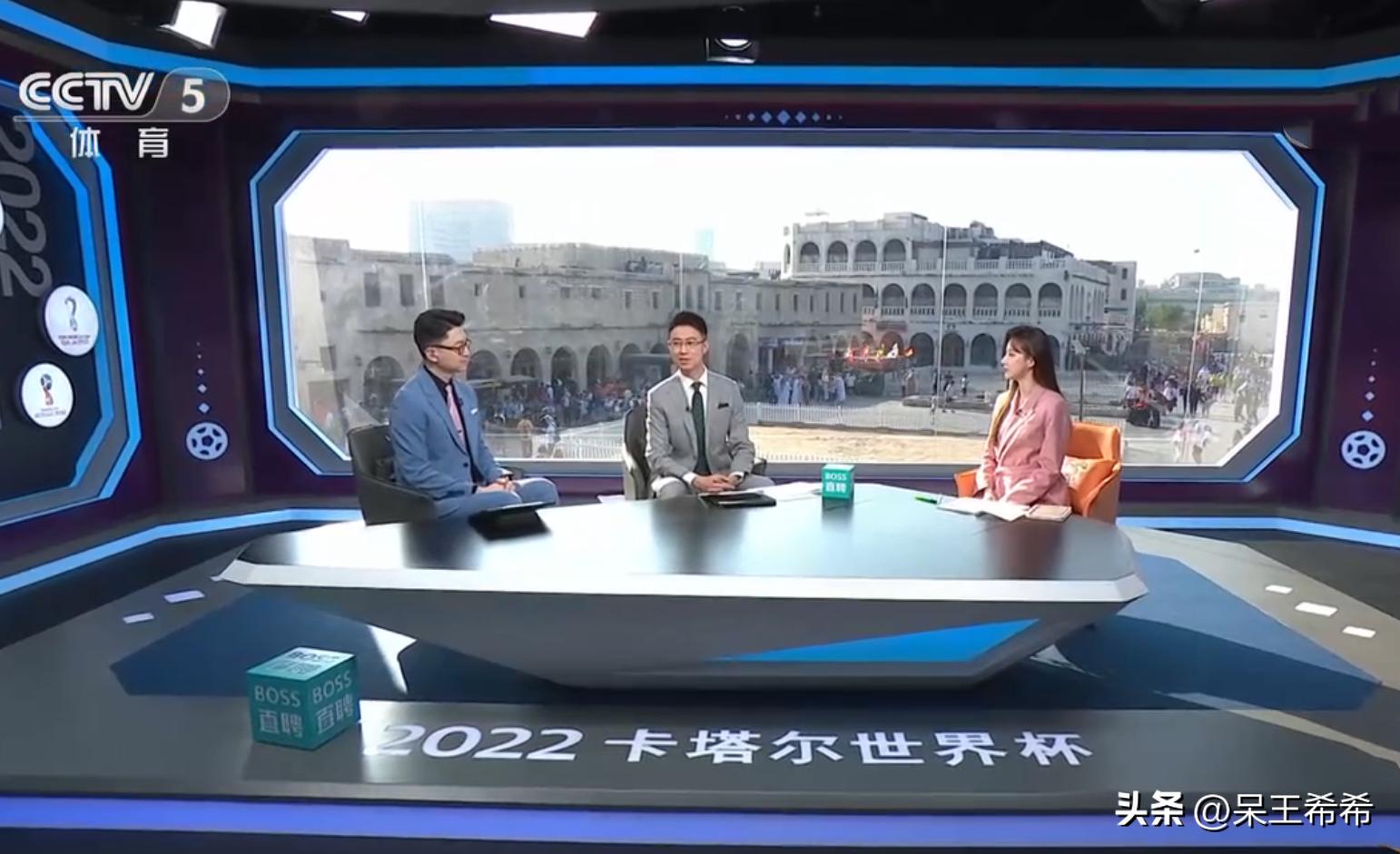 Ma Fanshu, the new face of CCTV, has mixed performance as host - iMedia