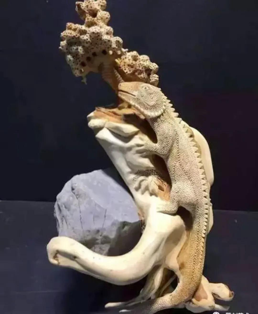 Root Carving and Stone - iNEWS