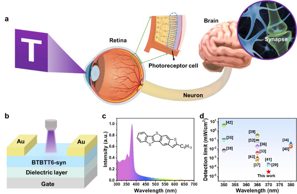 Neuromorphic vision sensor for ultra-weak ultraviolet light detection ...