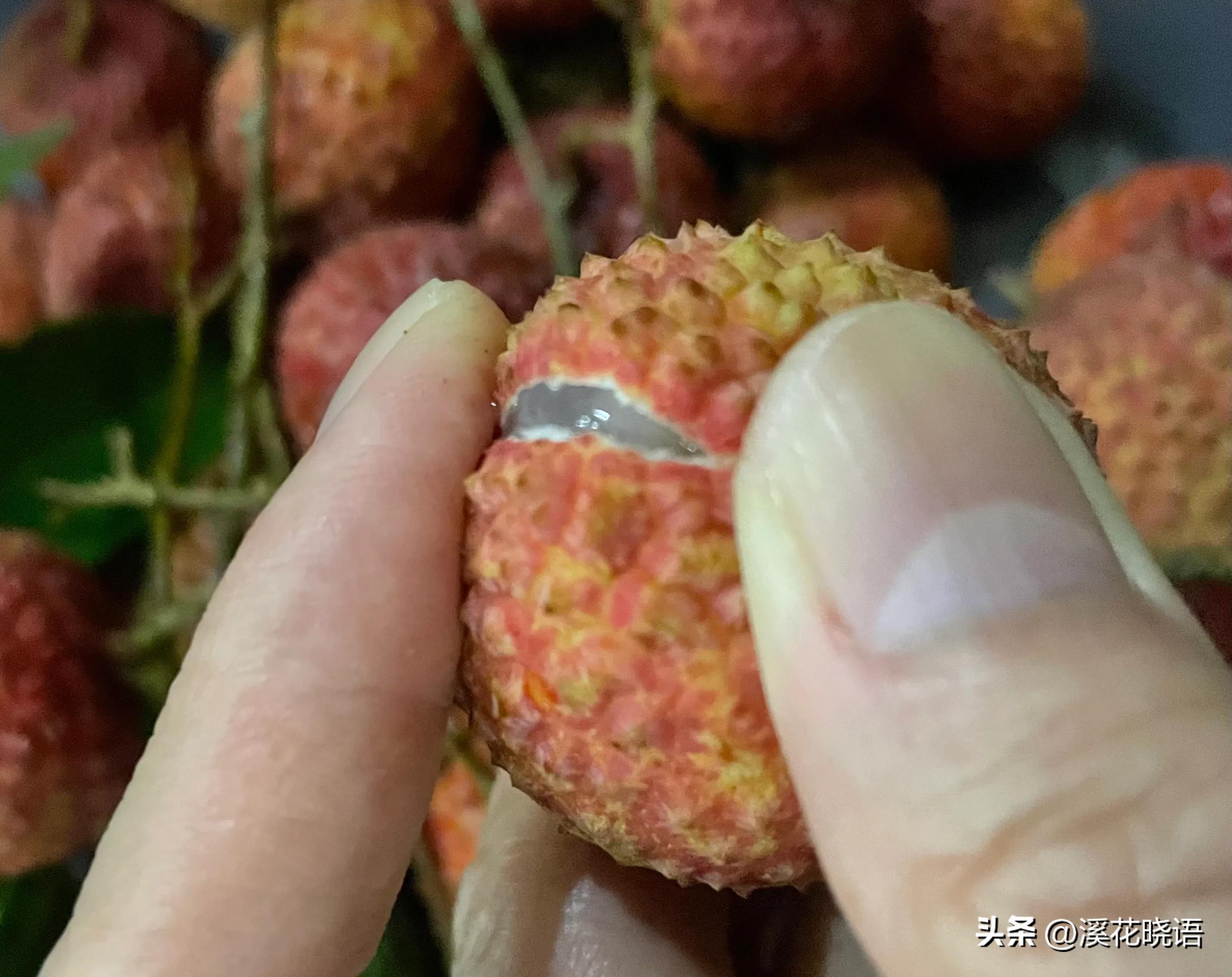 The correct way to open cinnamon lychee - iNEWS
