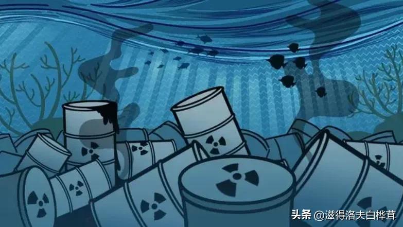 What to do if Japan's nuclear-contaminated water enters the sea? SOD ...