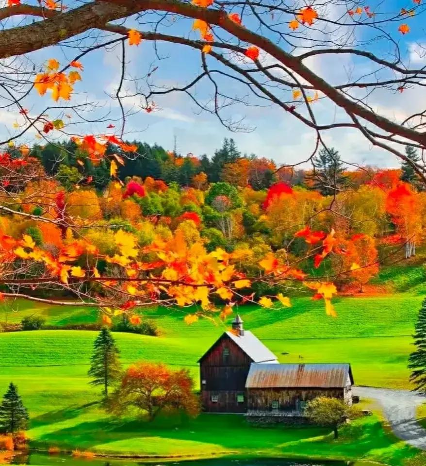 Poetry: Rhythm of Autumn - iNEWS