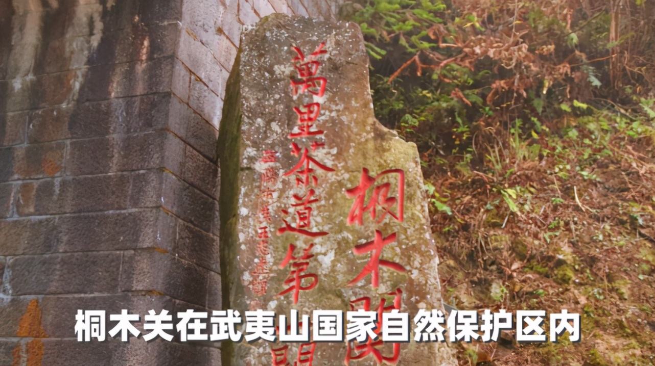 Why can't outsiders enter Tongmu Village at the foot of Wuyi Mountain ...