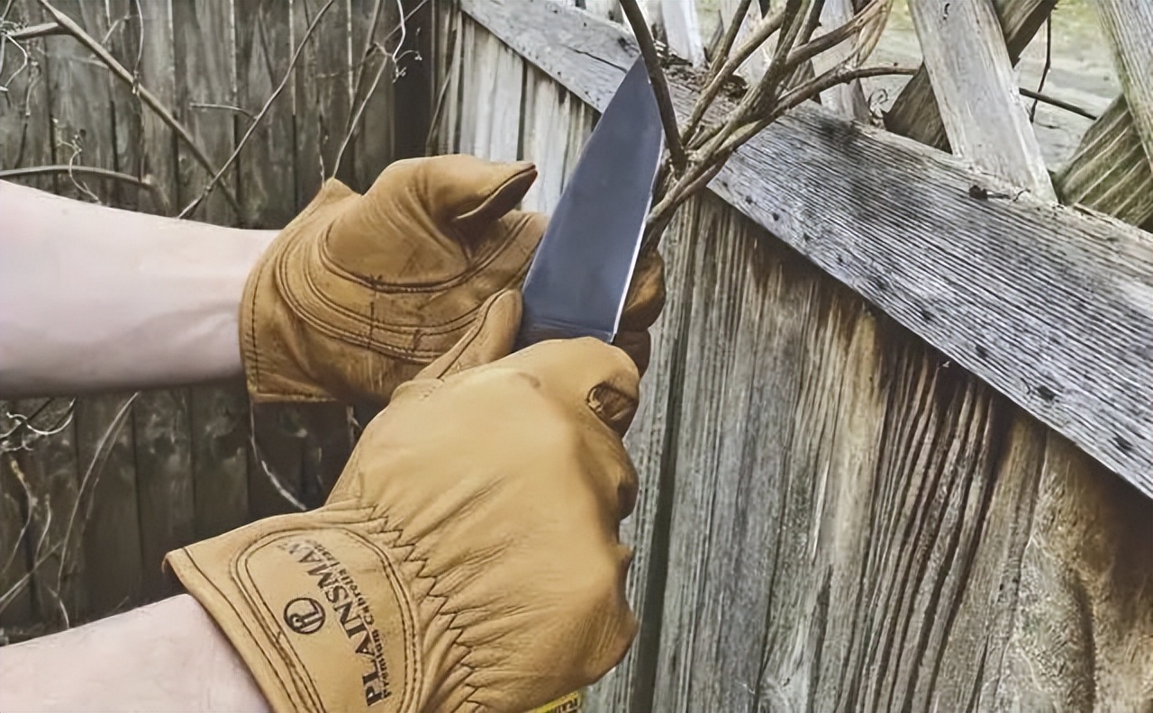 Winkler leads: 6 outdoor professional tool tests - iNEWS