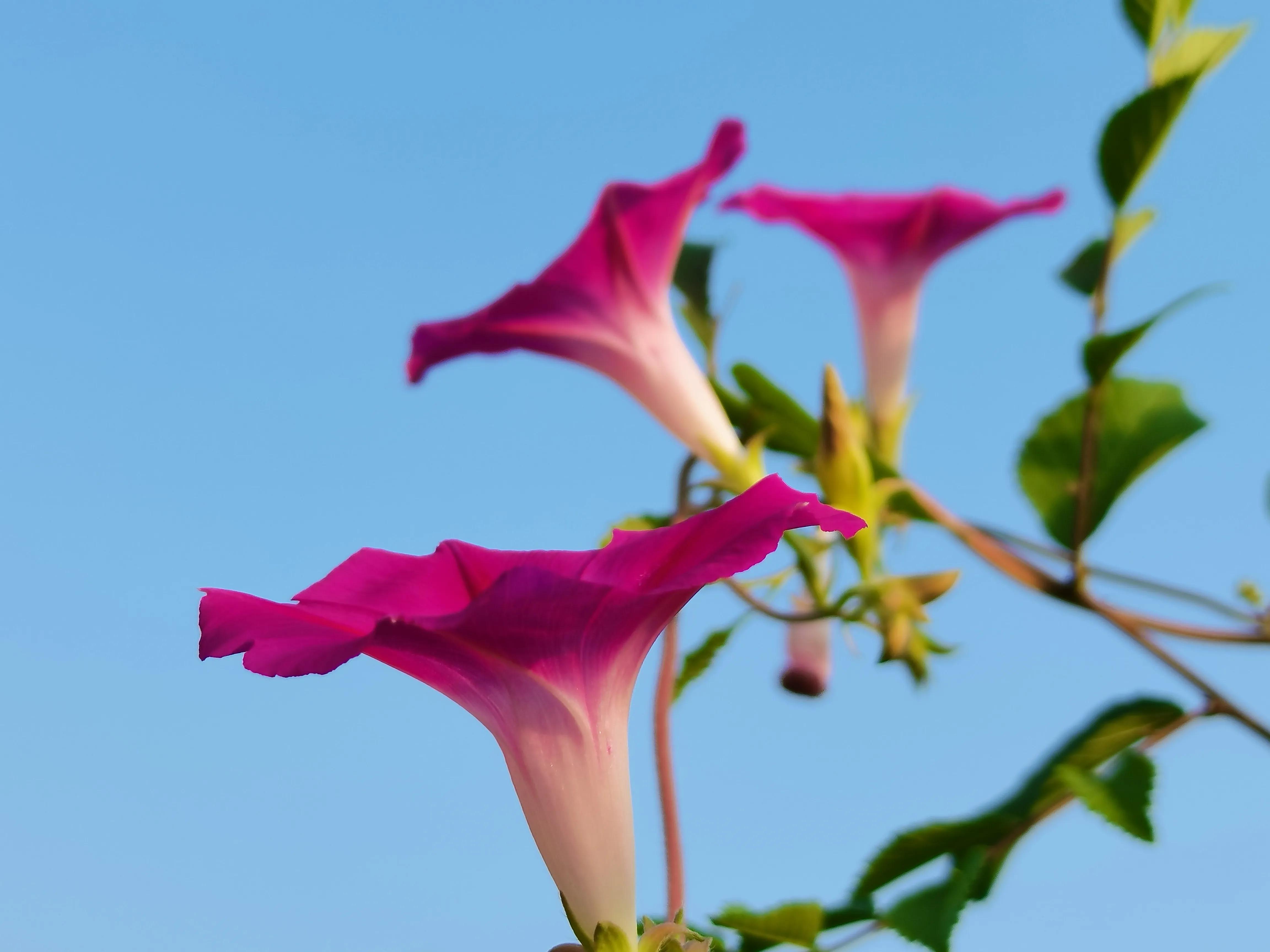 What is "good poetry"—I see poetry - iNEWS