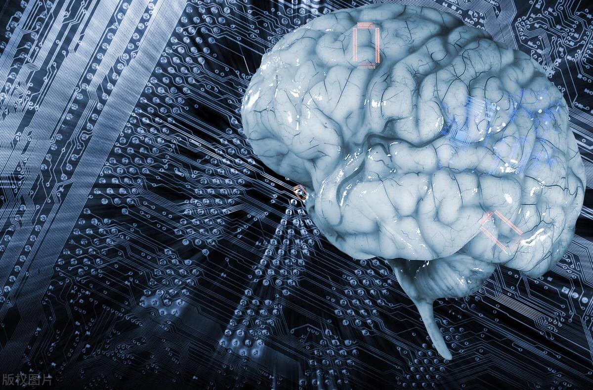 Is there a direct relationship between the emergence of intelligence in ...