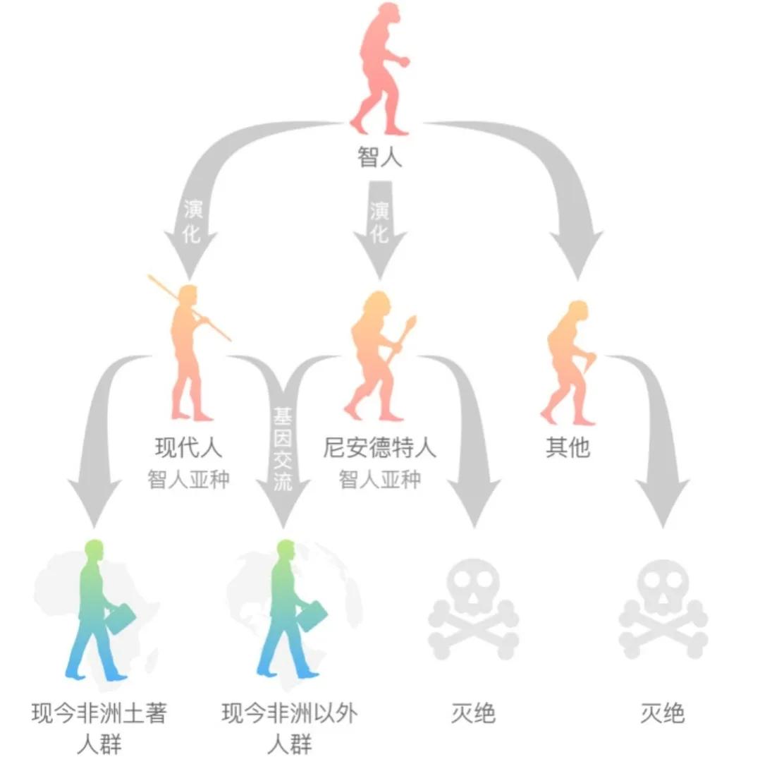 Scientist who discovered Neanderthals and Denisovans wins Nobel Prize ...