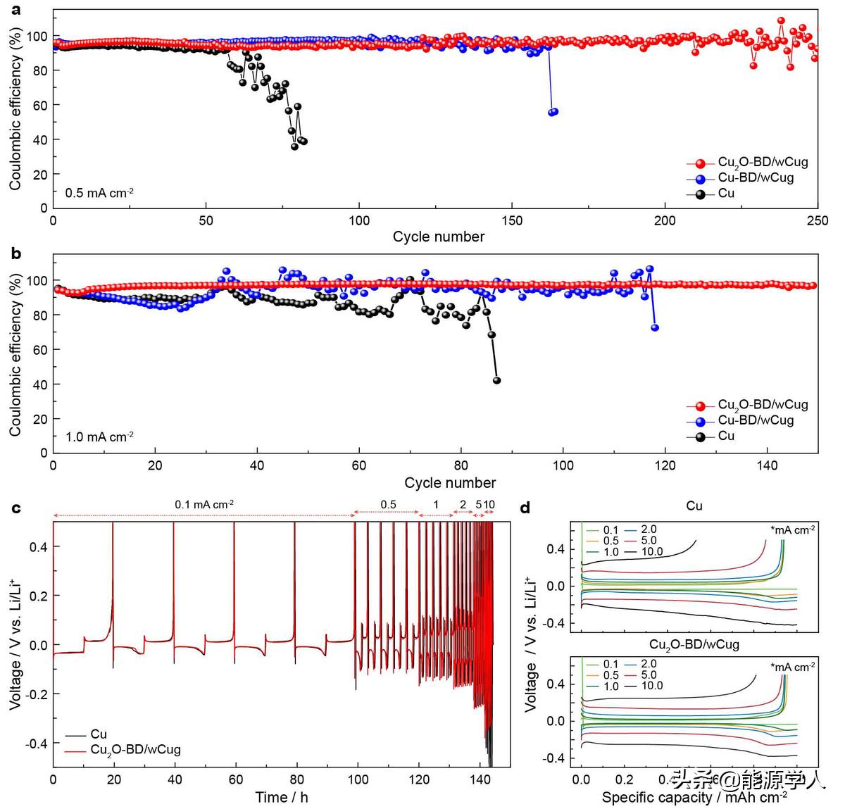 Cu2O boundary modulates lithophilicity of Cu substrates for ...