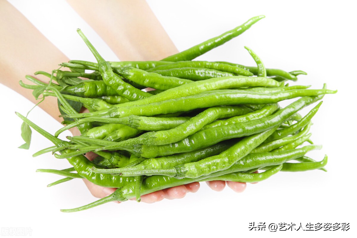 Homemade food - cold green pepper - iNEWS