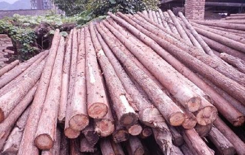 Lao Tzu Quanzhen 89: The "wen" of "Wen Guo" is very different from the ...