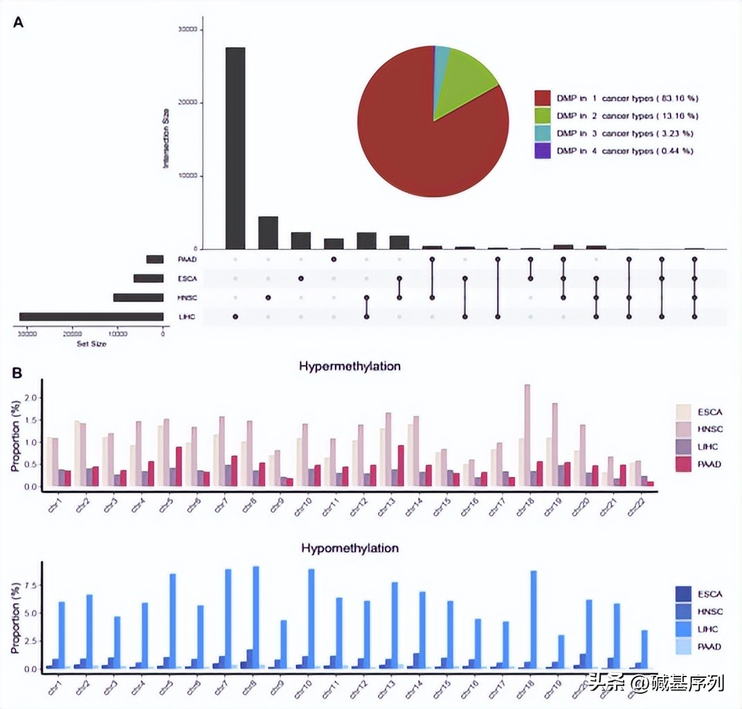 Alcohol-associated cancer mechanisms: aberrant DNA methylation patterns ...