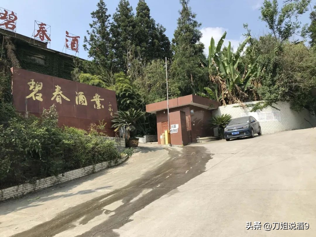 Bichun Winery | Old Sanchun - iNEWS