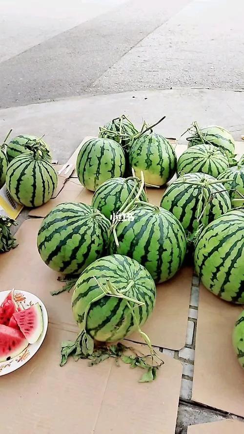 Collecting scraps and returning home during the Chinese New Year was ...