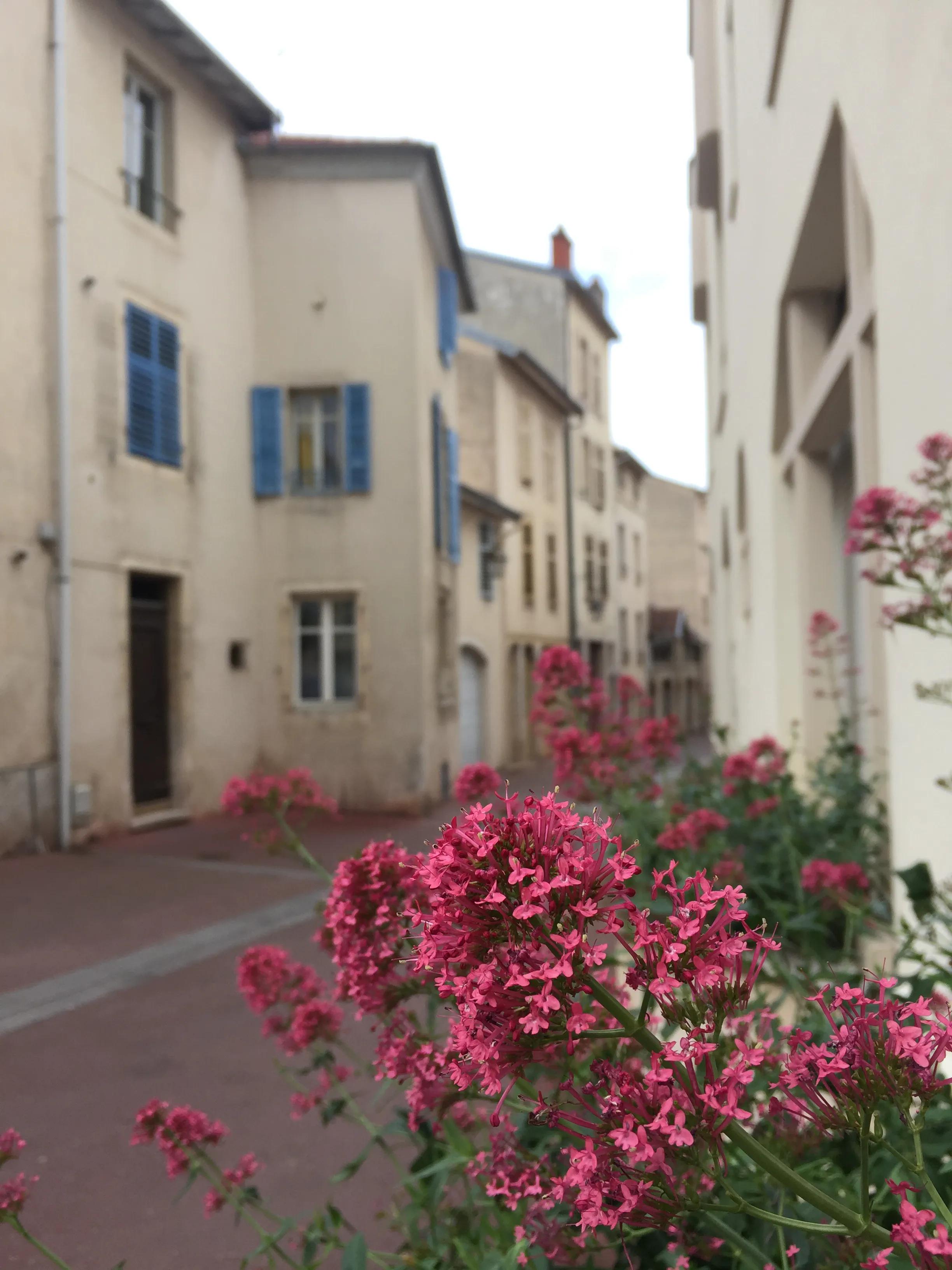 The Three Cities of France: Nancy - iNEWS