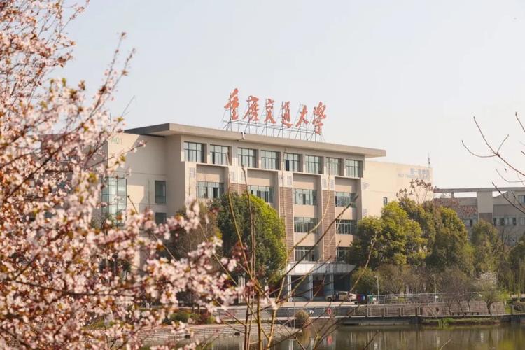 Chen Biao, an academician of the Chinese Academy of Sciences, suddenly ...