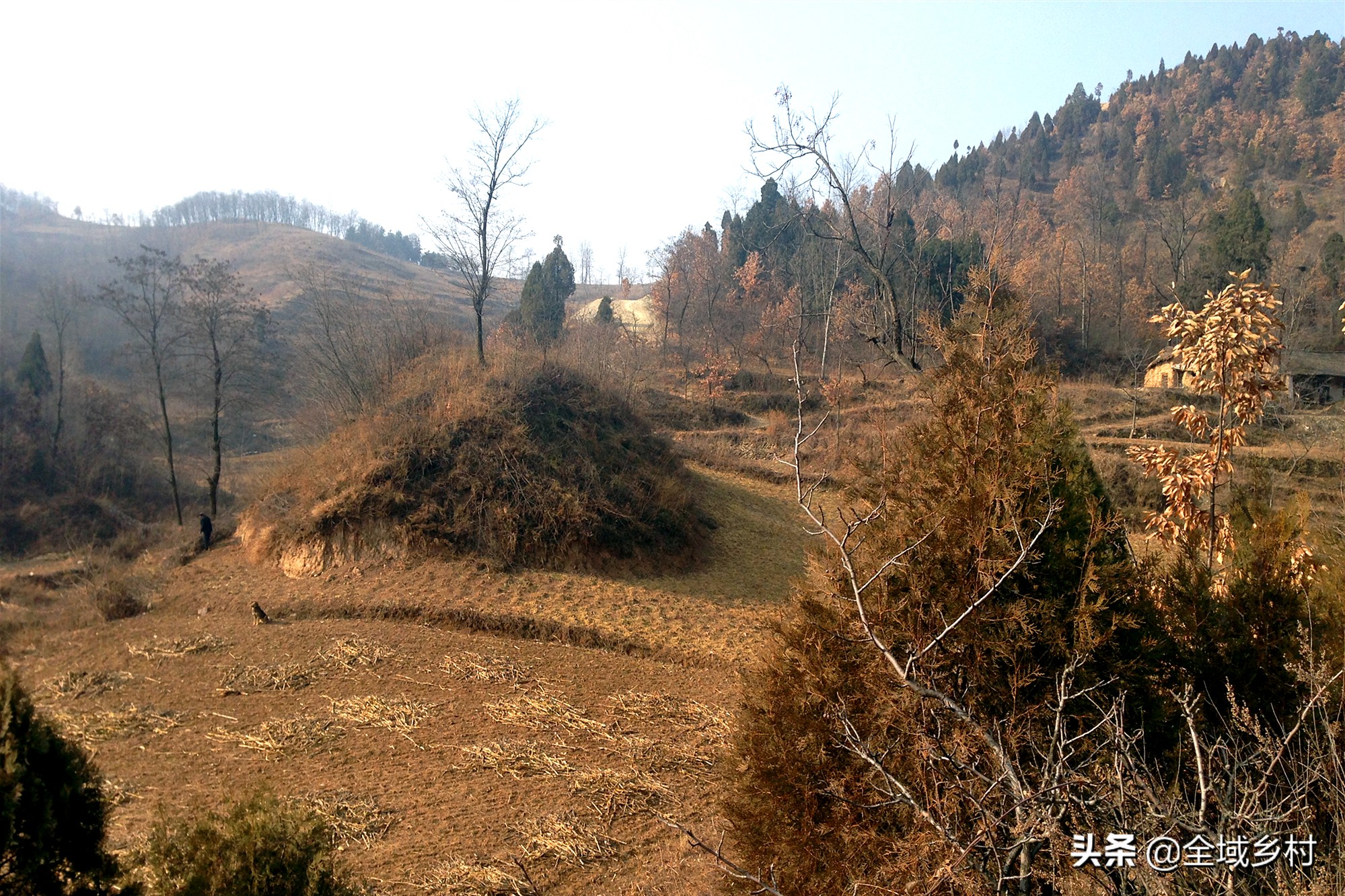 Who is the "Tomb of King Yan" in the deep mountains of western Henan ...