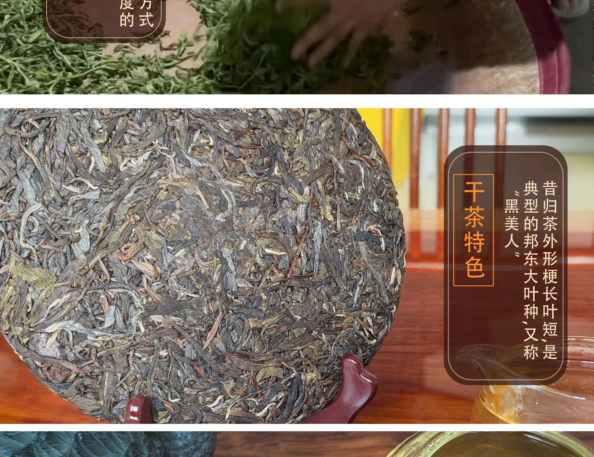 The "Freshest" of Pu'er Tea - Xigui - iNEWS