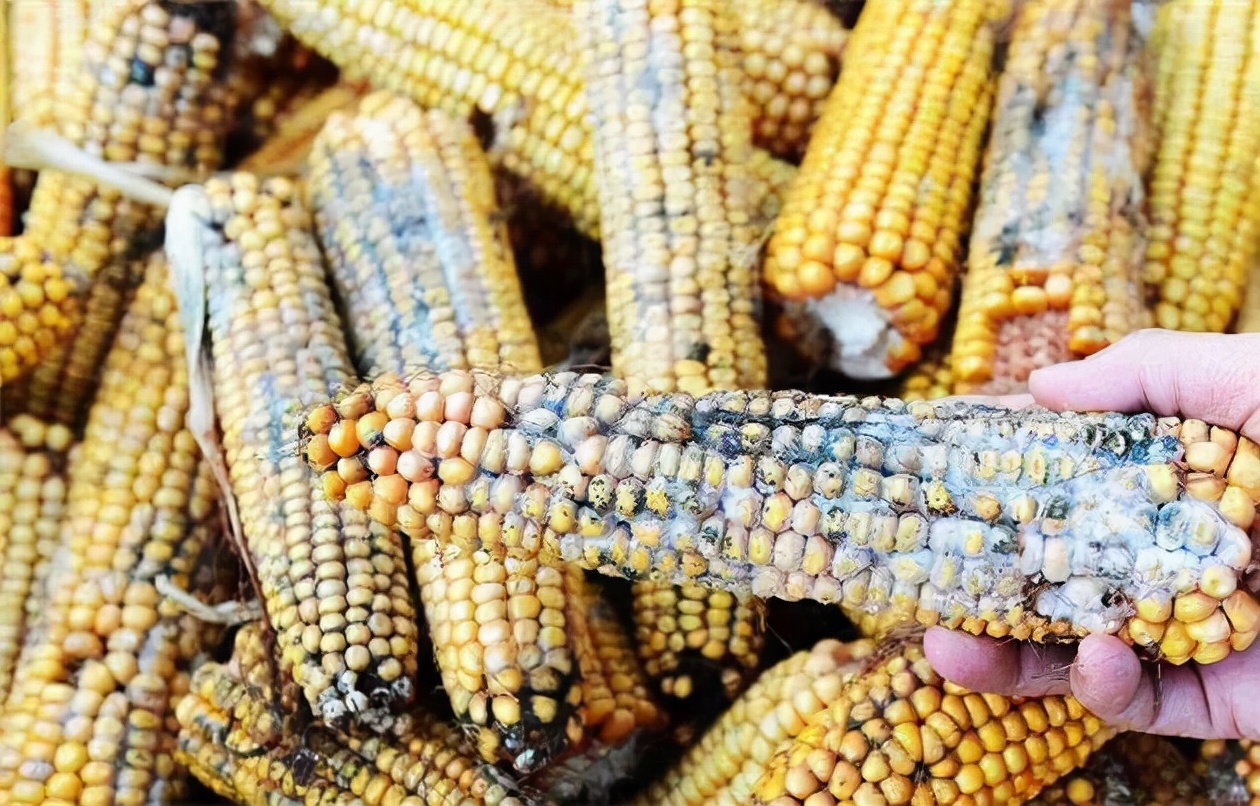 The list of "Class 1 carcinogens" is here. Do you have any favorites ...