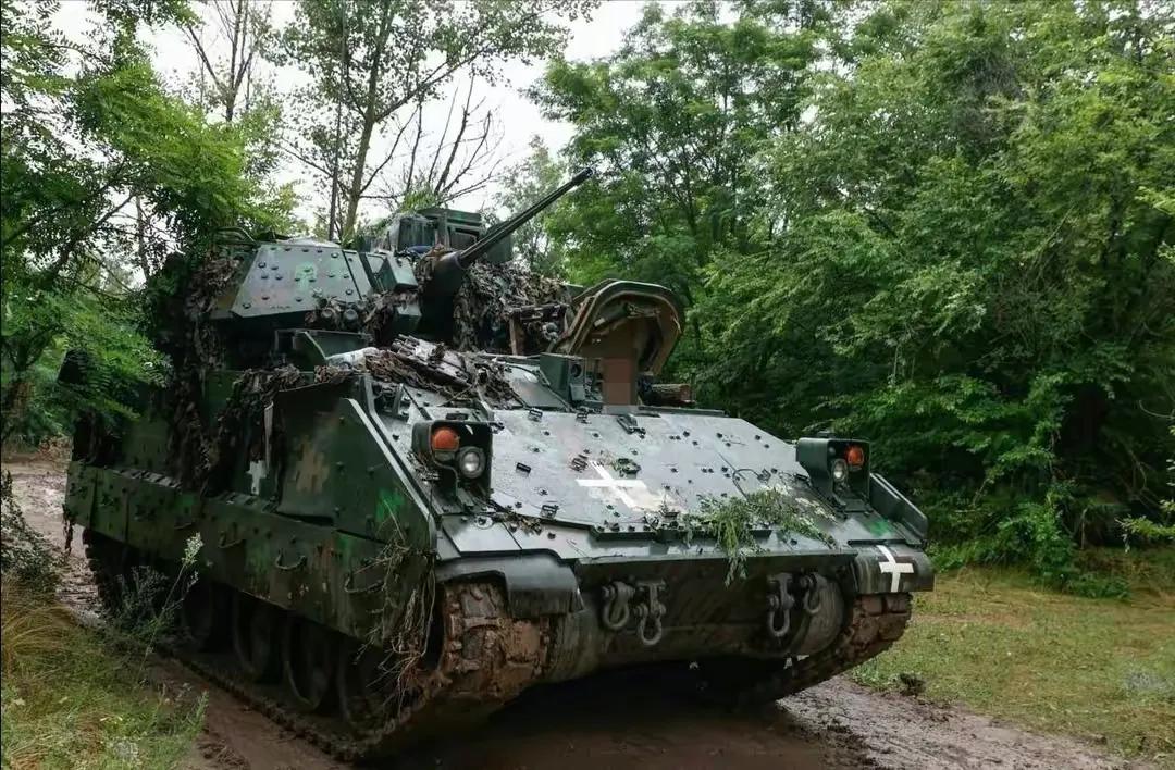 The puzzle of the battlefield is revealed: the more Uzbekistan fights ...