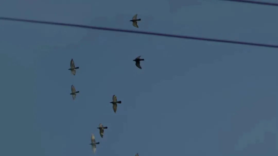 8 ways to get you out of internal friction: Second uncle can't cure ...