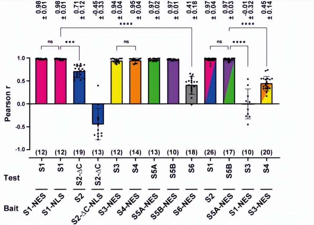 Self-assembly and functional diversity of potential STAT proteins in ...
