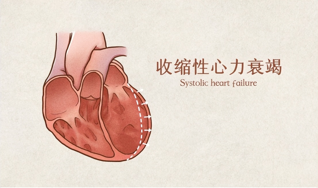 What are the etiology, pathogenesis, and treatment methods of heart ...