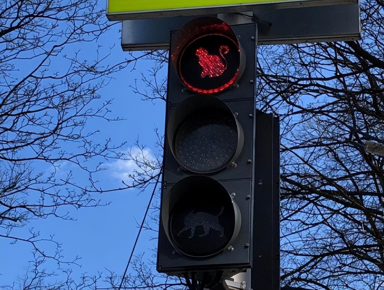 Fighting Nation Cat Traffic Lights... "It's kinda cute, but not sure, I ...