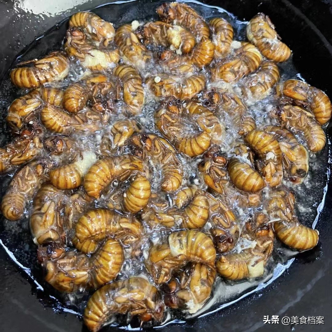 Deep-fried golden cicadas are just a beginner's method, and I am a ...