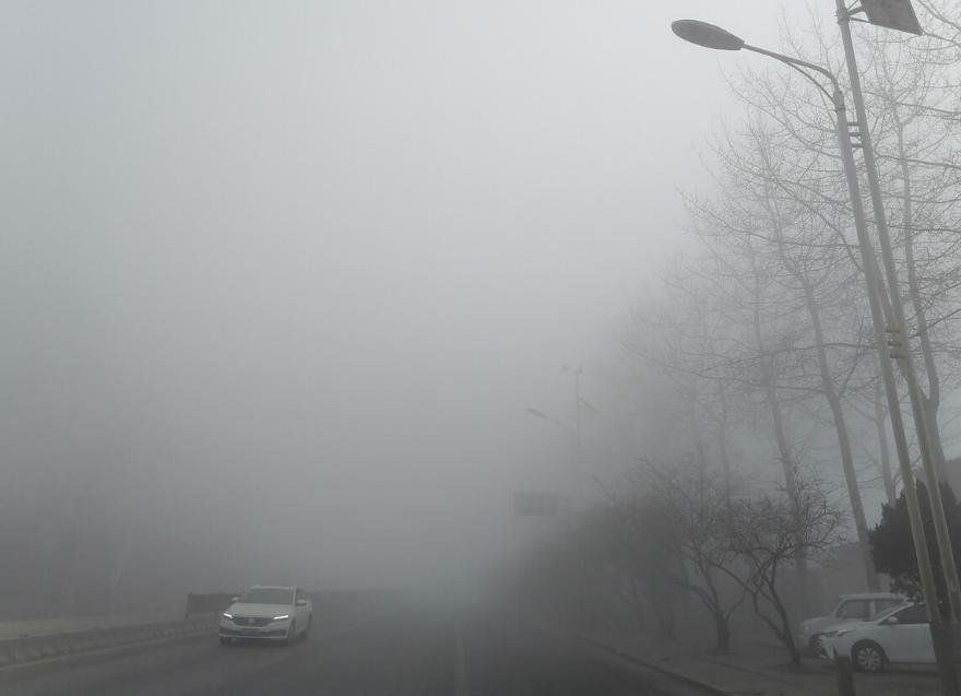 Mysteries of the Mist: Things You Didn't Know - iNEWS