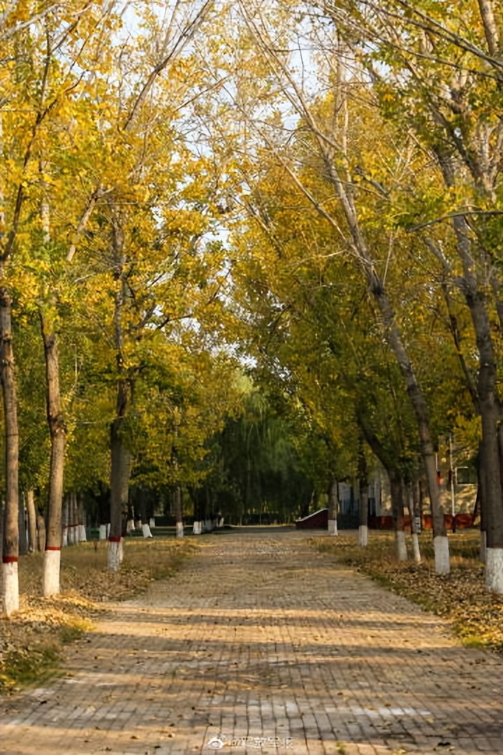 The autumn of the military camp is different - iNEWS