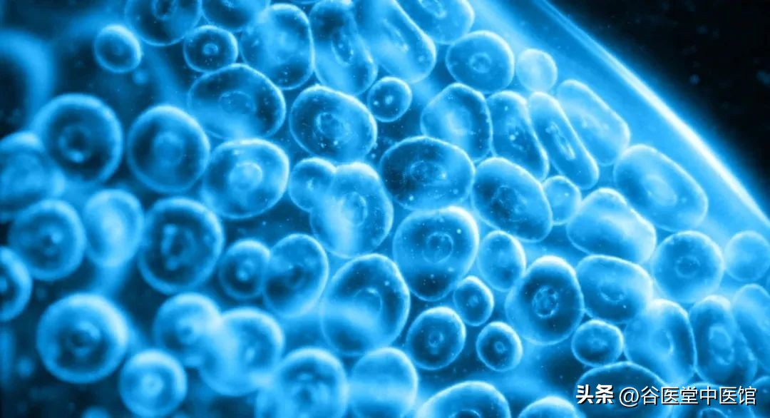 Gu Yitang Zhengtang Famous Experts: Expert Consensus: Type 2 Diabetes ...