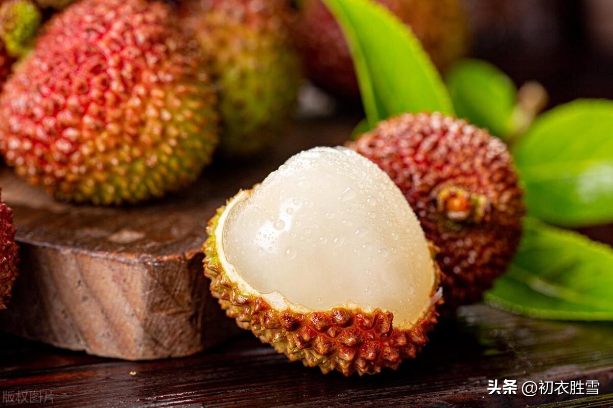 Du Fu's four lychee poems talk about the lychee that Yang Guifei loved ...