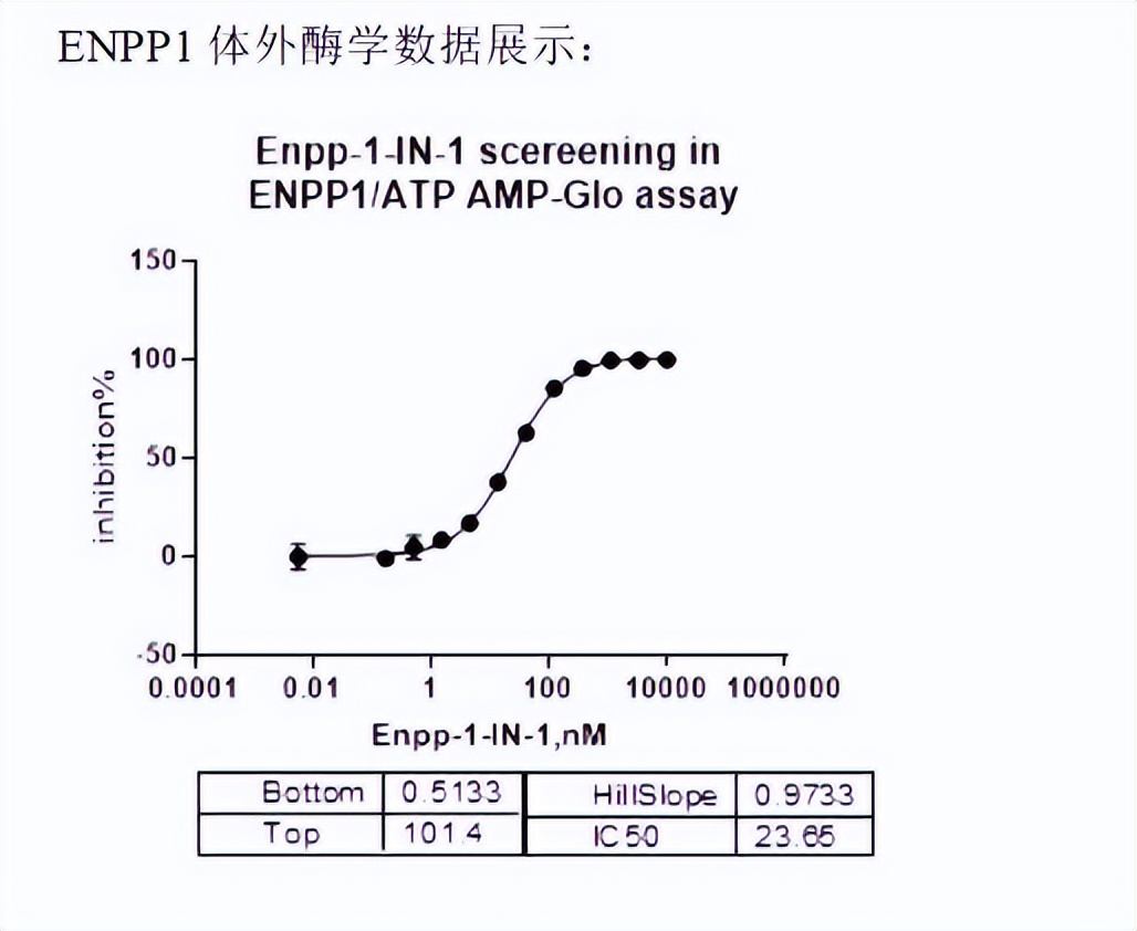 N-terminal Transmembrane Domain - iNEWS
