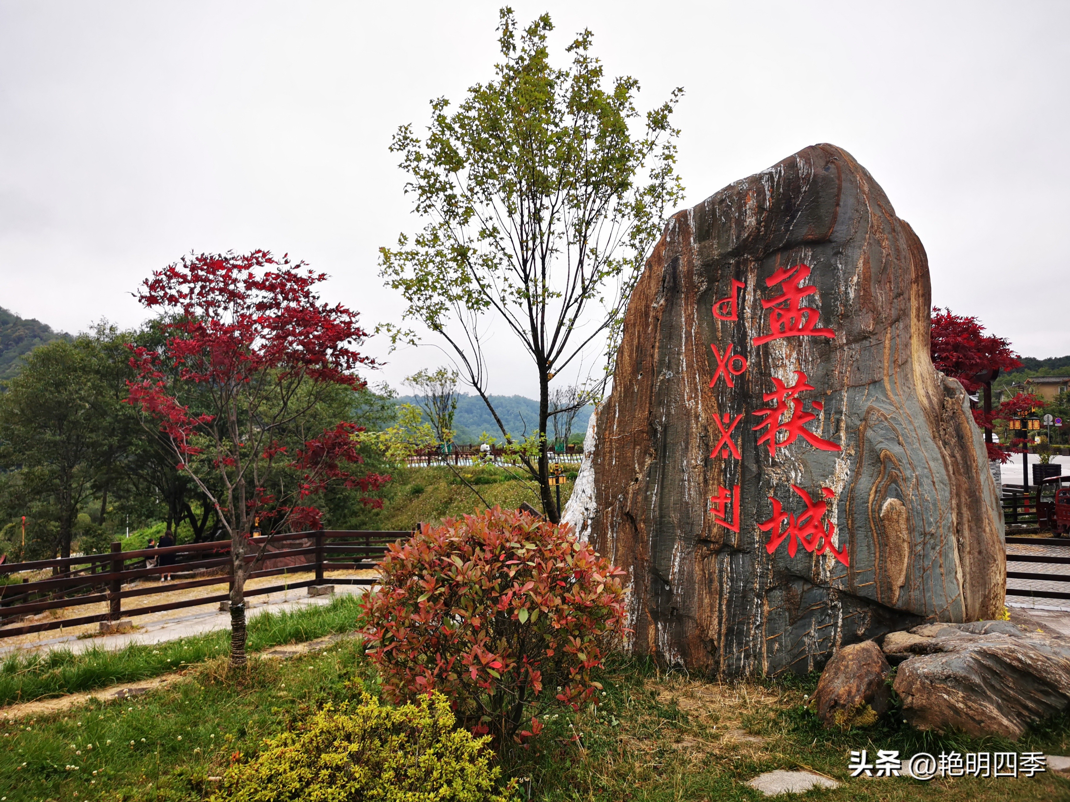 Menghuo City, an alpine meadow blooming with golden flowers - iMedia