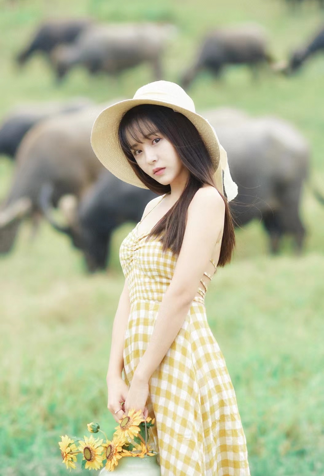 After "Watching the Sunset", Xia Zihan's another ancient song "Acacia ...