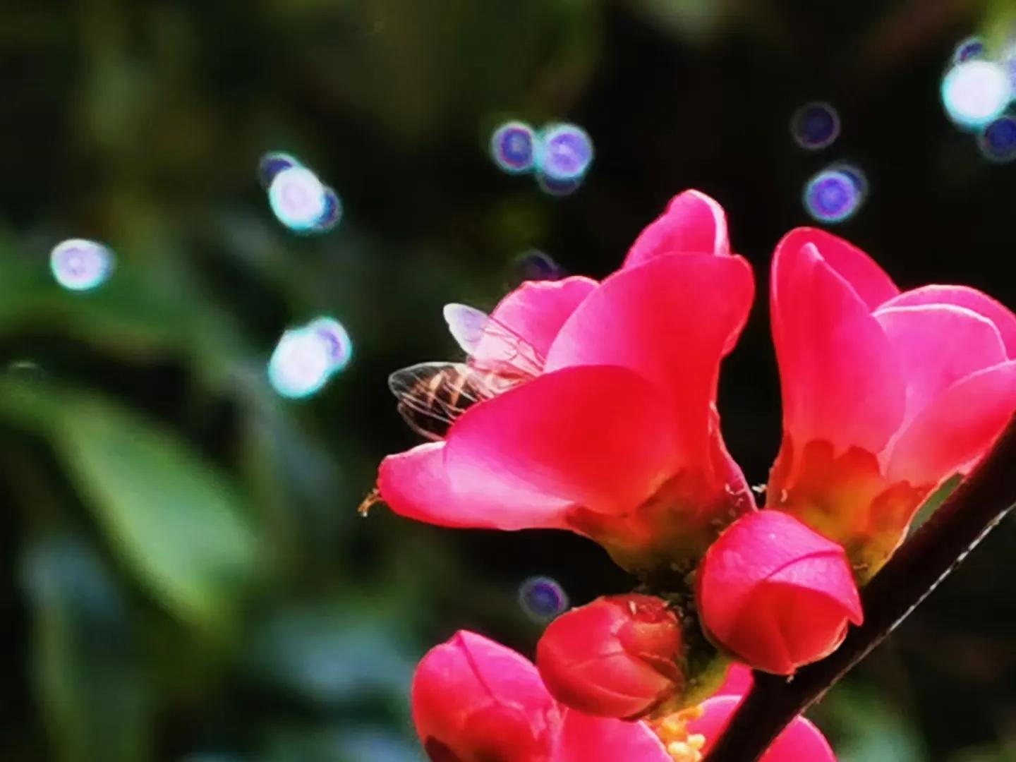 Everyone's life has poems and distant places - iMedia