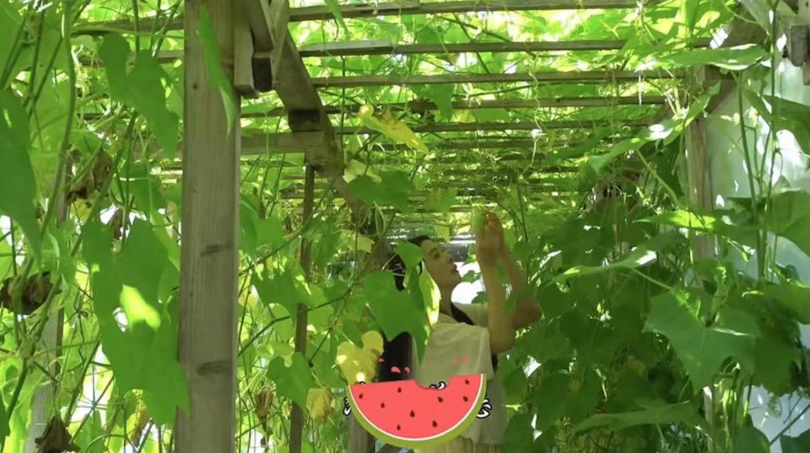 57-year-old Wang Zuxian, who appeared in a foreign manor to grow vegetables, has become a ...