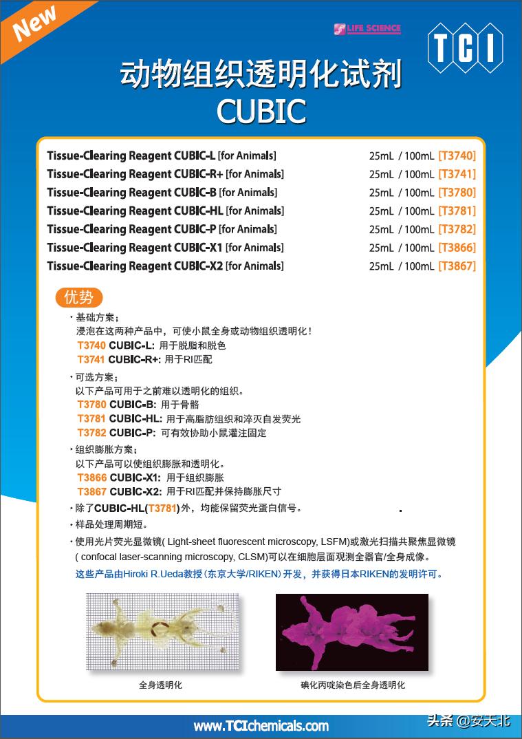 Animal tissue clearing reagent: CUBIC - iNEWS