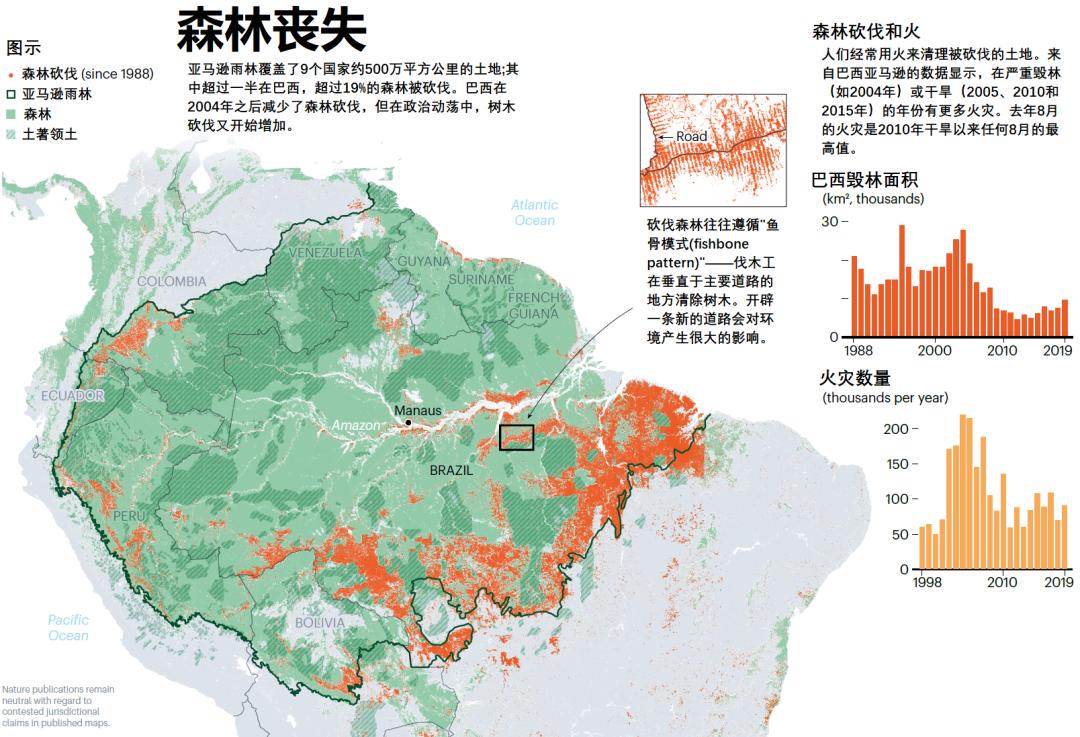Nature: When will the Amazon rainforest reach a tipping point? - iNEWS