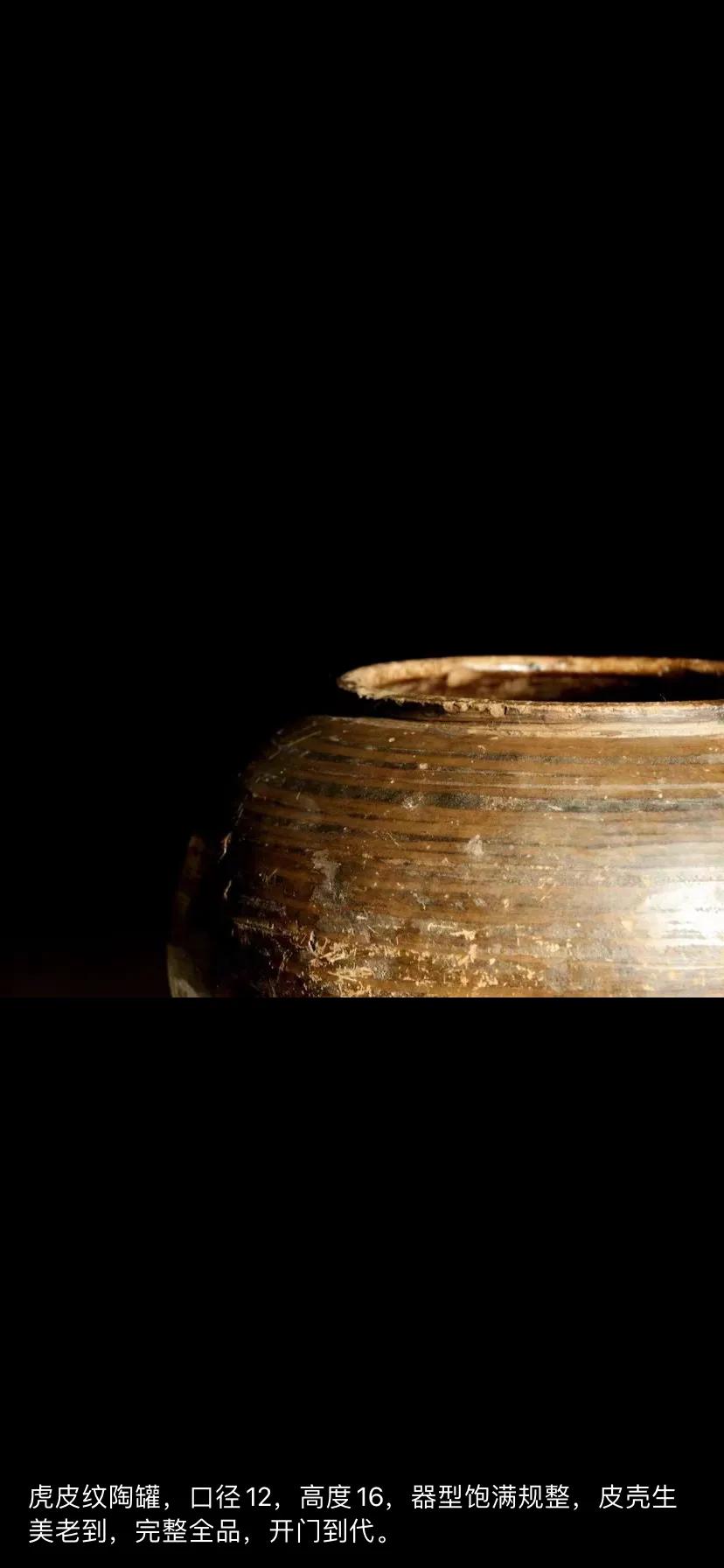 Tiger skin pattern clay pot - iMedia